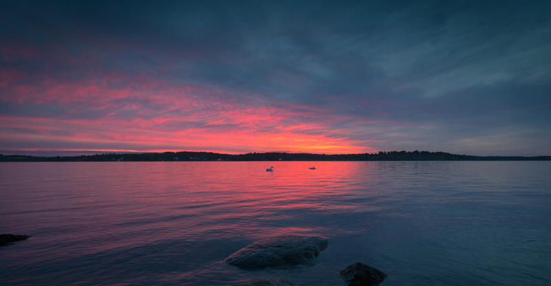 step-020 » Shift Art