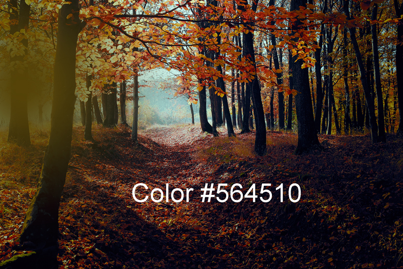 step-007 » Shift Art