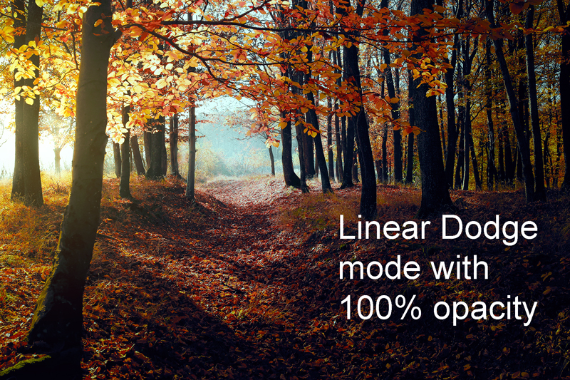 step-007a » Shift Art