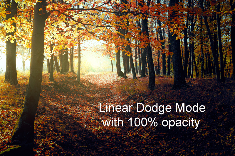 step-008a » Shift Art