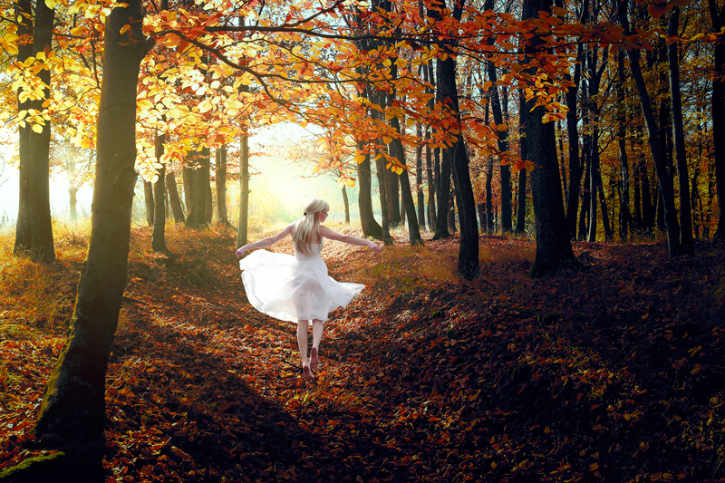 step-010 » Shift Art