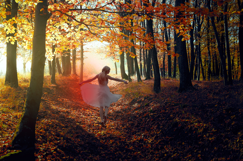 step-012a » Shift Art