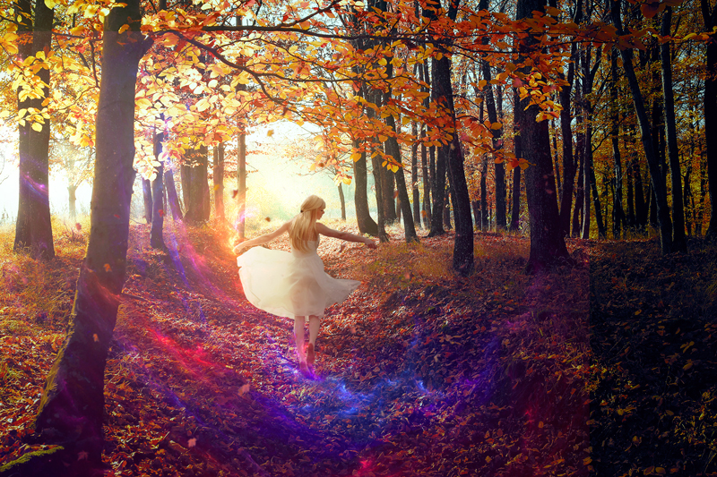 step-018a » Shift Art