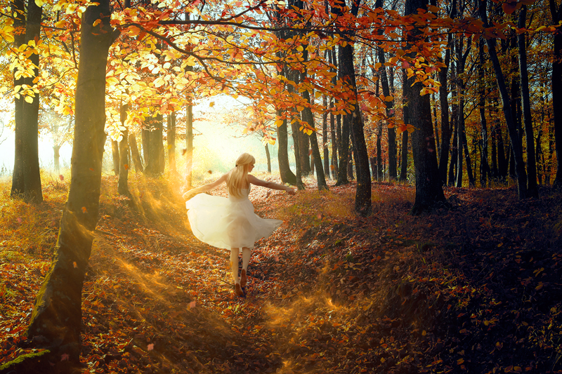 step-020a » Shift Art