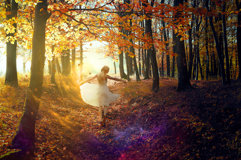 step-021a » Shift Art