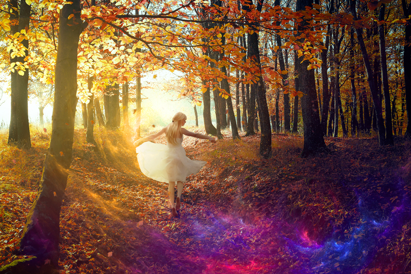 step-022b » Shift Art