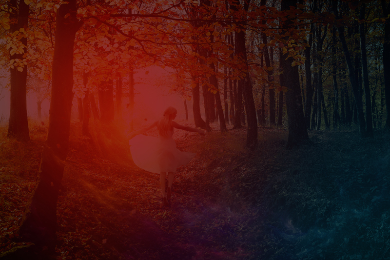 step-026a » Shift Art