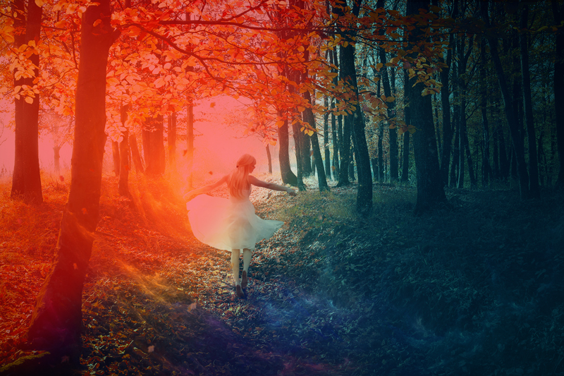 step-027a » Shift Art