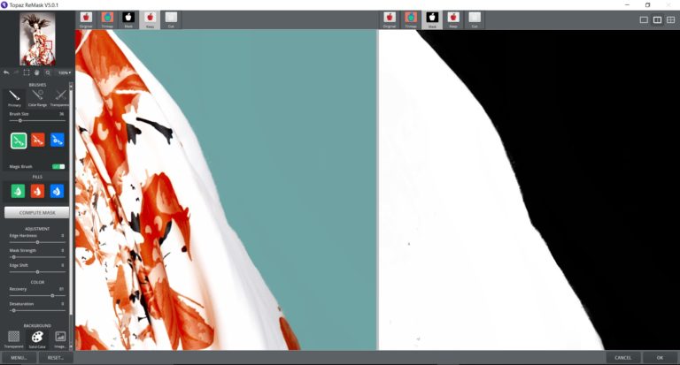 Extracting Models with Topaz Labs ReMask