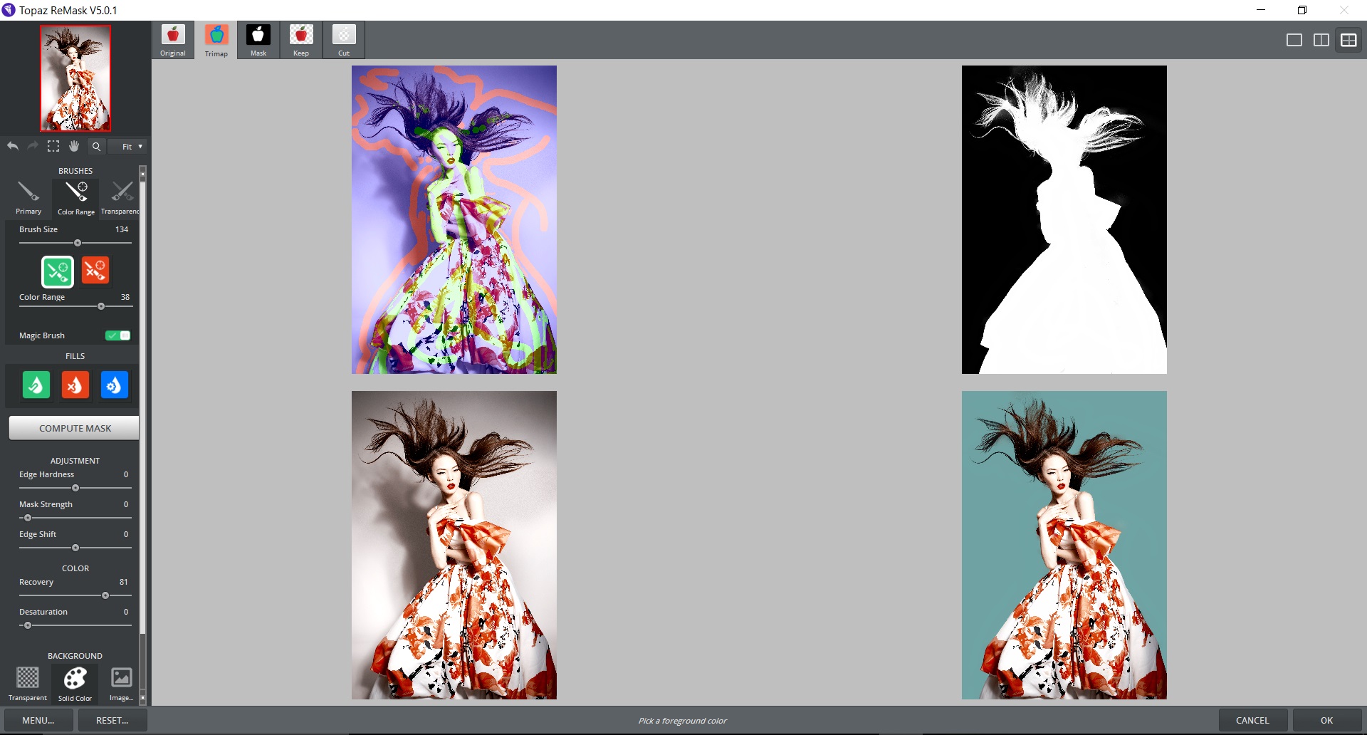 Extracting Models with Topaz Labs ReMask