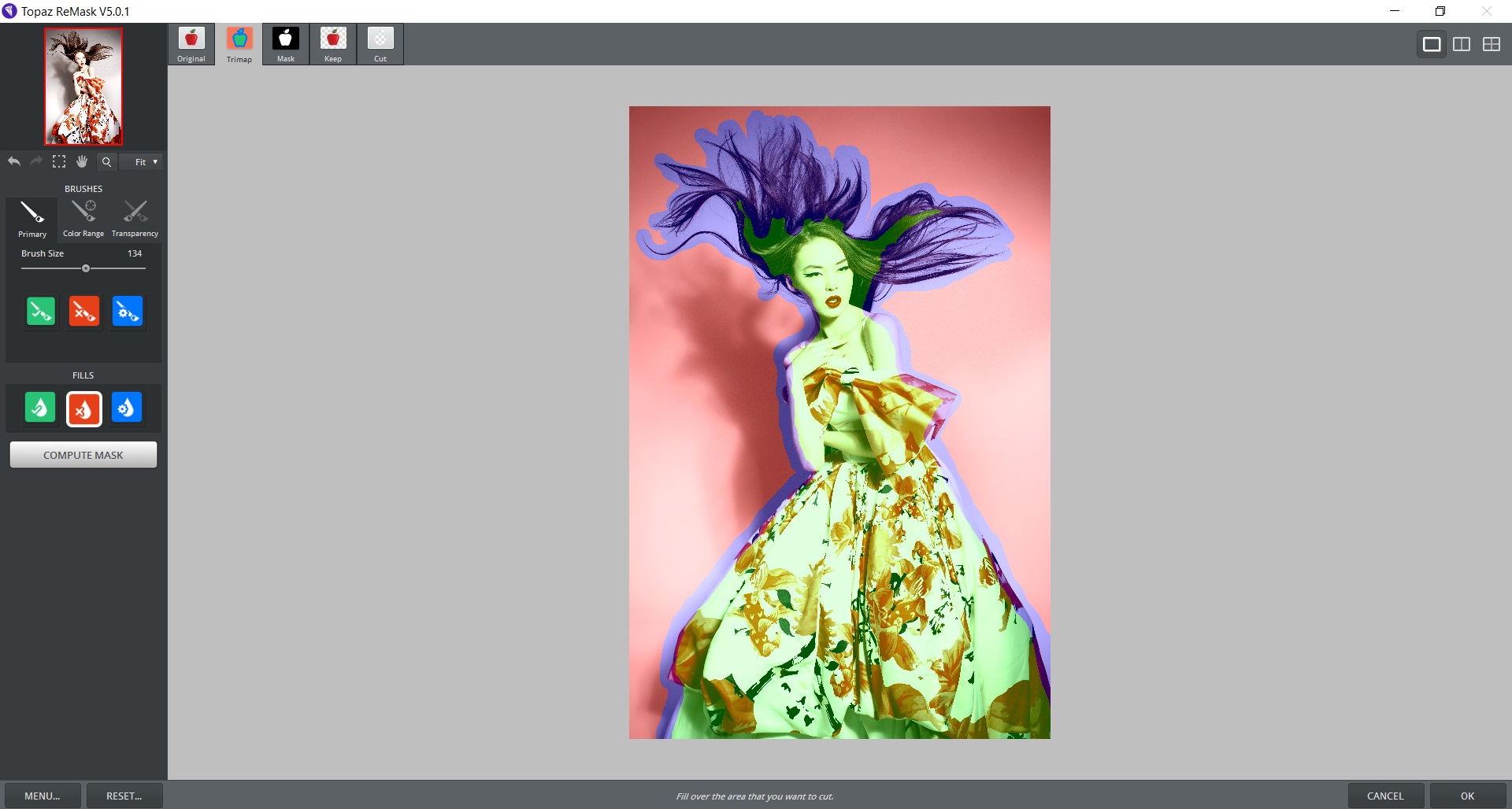Extracting Models with Topaz Labs ReMask