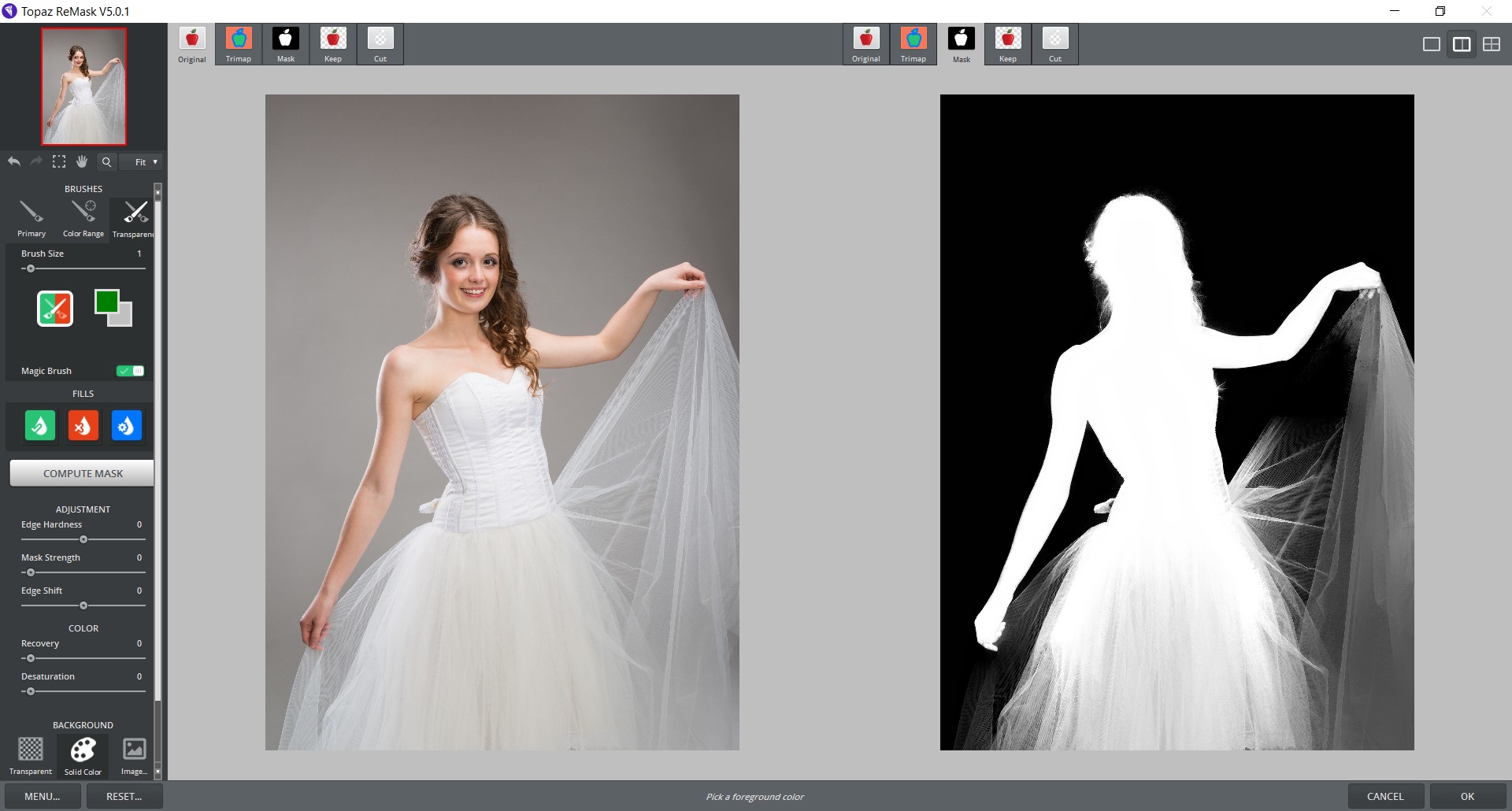 Extracting Models with Topaz Labs ReMask