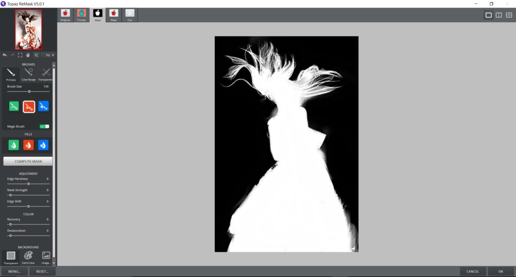 Extracting Models with Topaz Labs ReMask