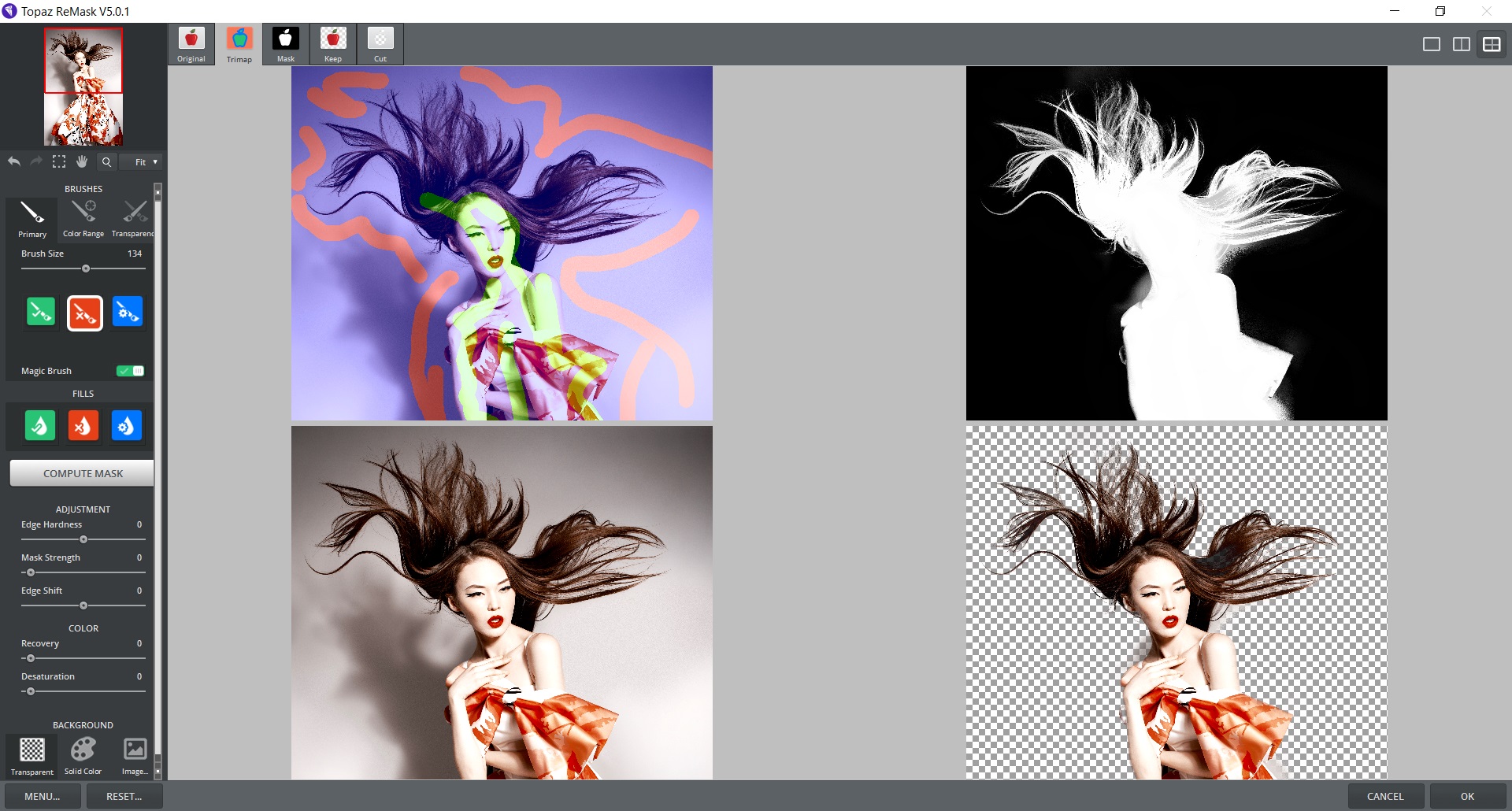 Extracting Models with Topaz Labs ReMask
