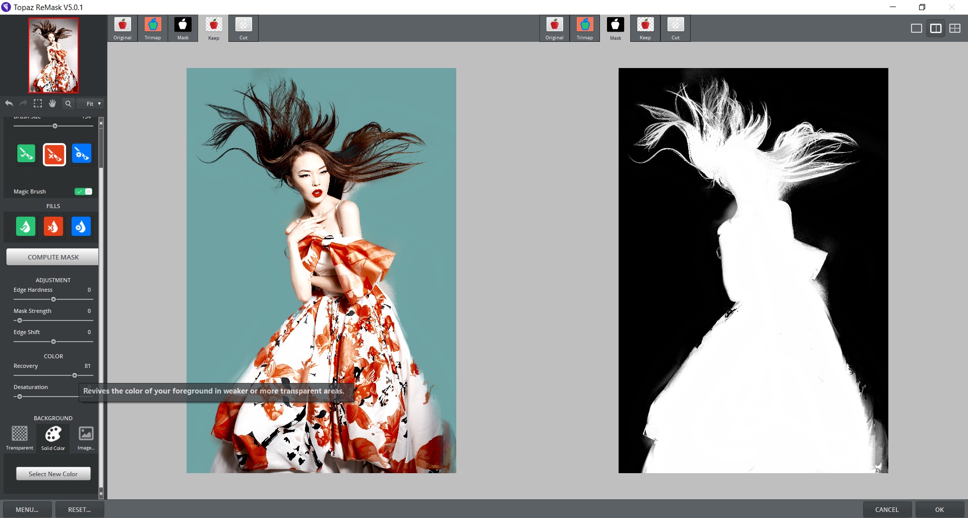 Extracting Models with Topaz Labs ReMask