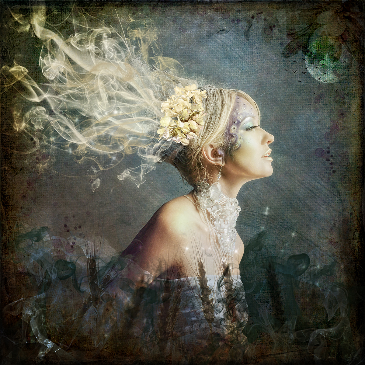 Gail Edwards Profile and Gallery