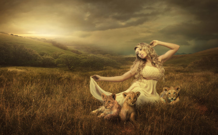 Jason Hahn Interview