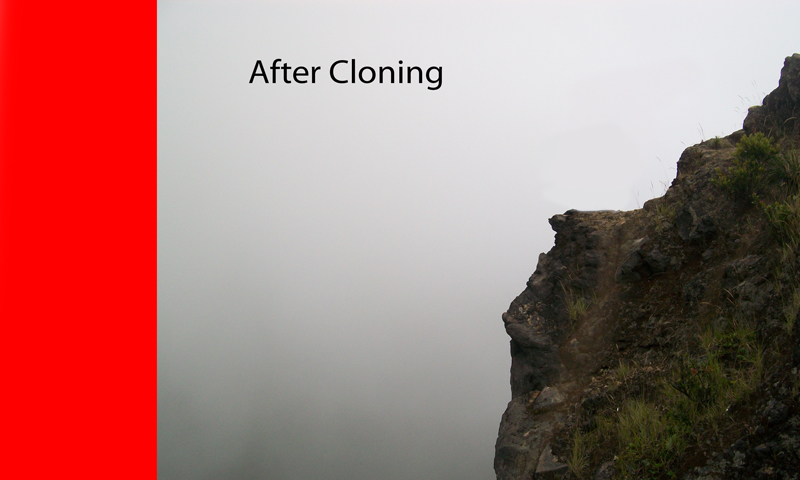 step-003a » Shift Art