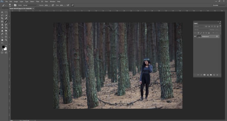 Add Fog or Mist to Your Image
