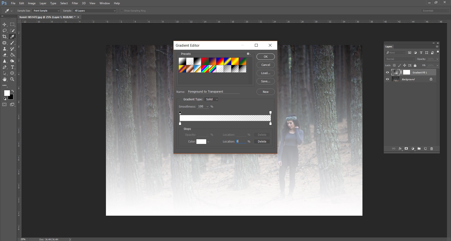 Add Fog or Mist to Your Image