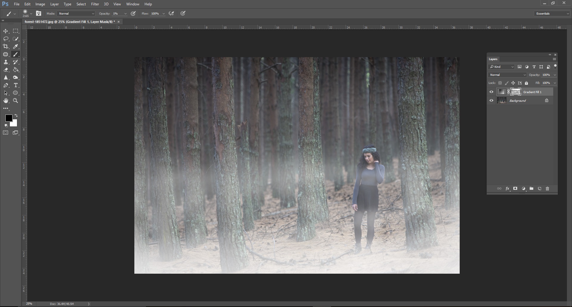 Add Fog or Mist to Your Image