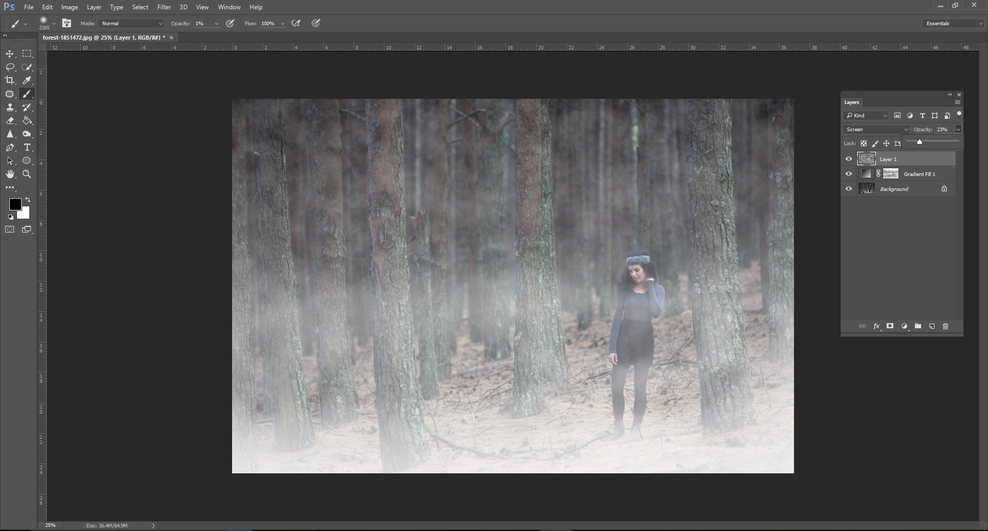 Add Fog or Mist to Your Image