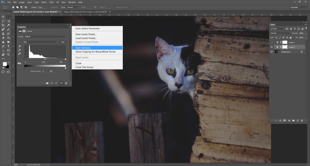 Correcting Color Using Auto Options in Photoshop - Part 2