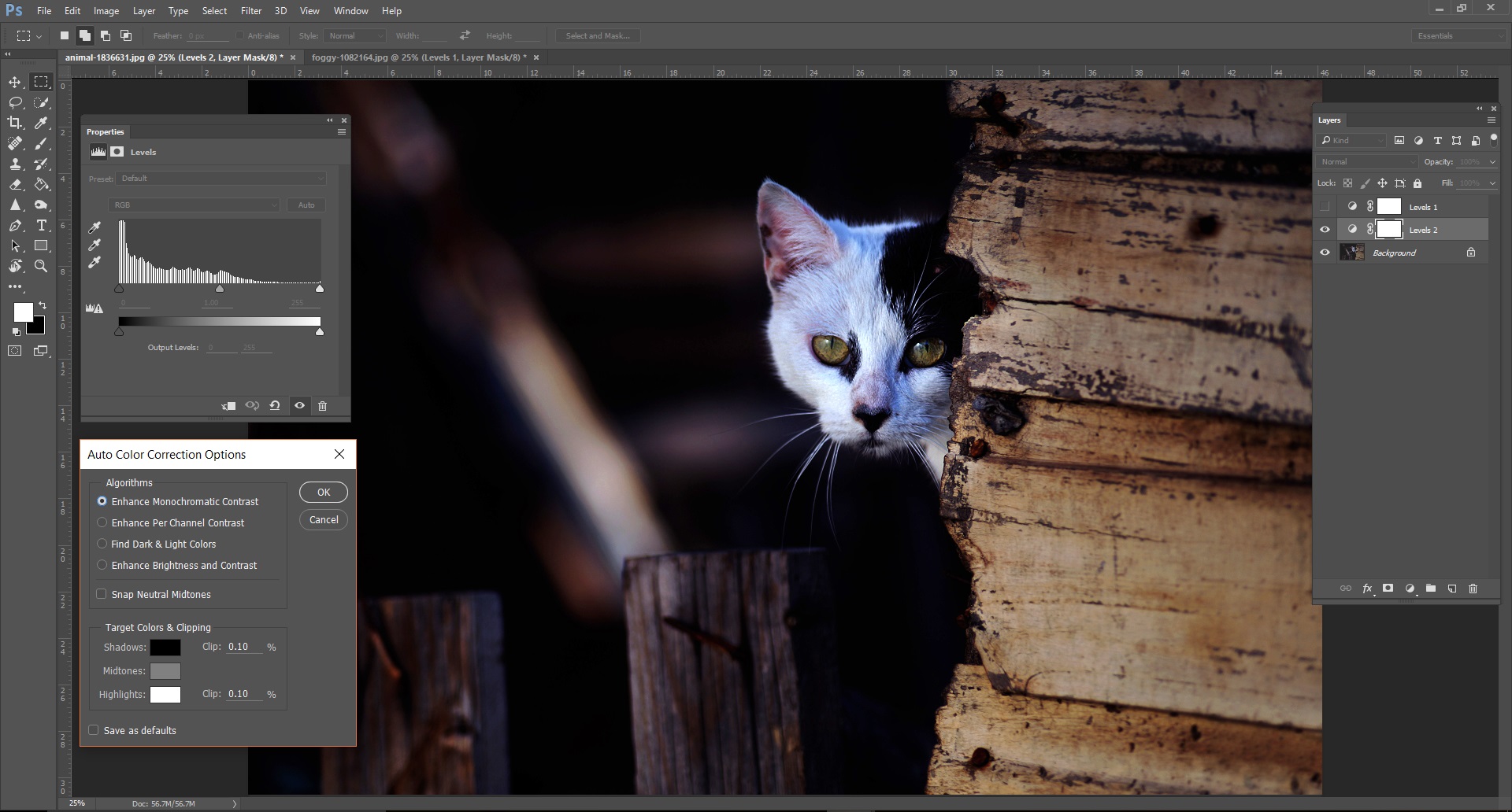 Correcting Color Using Auto Options in Photoshop - Part 2