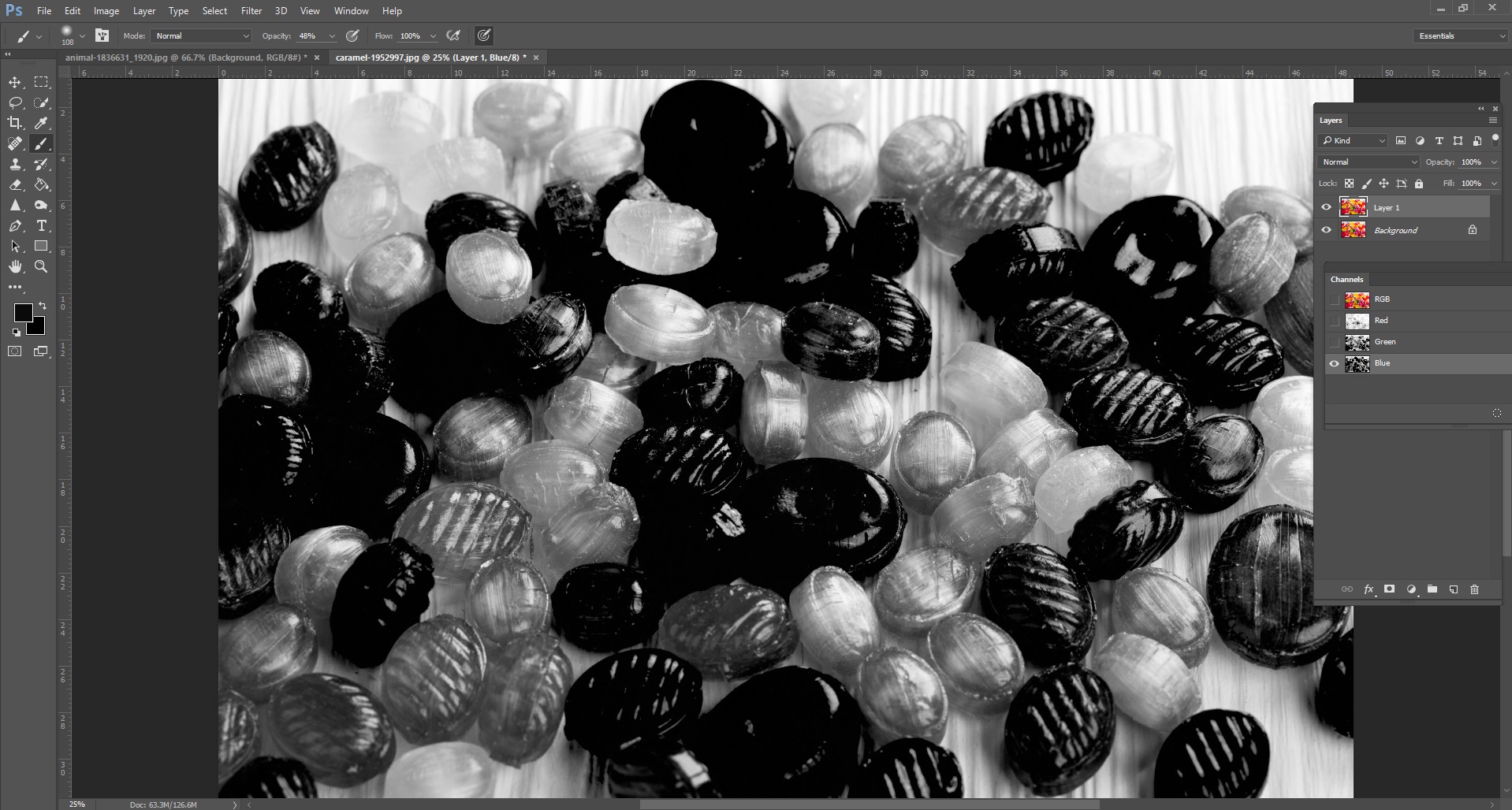 Correcting Color Using Auto Options in Photoshop - Part 1