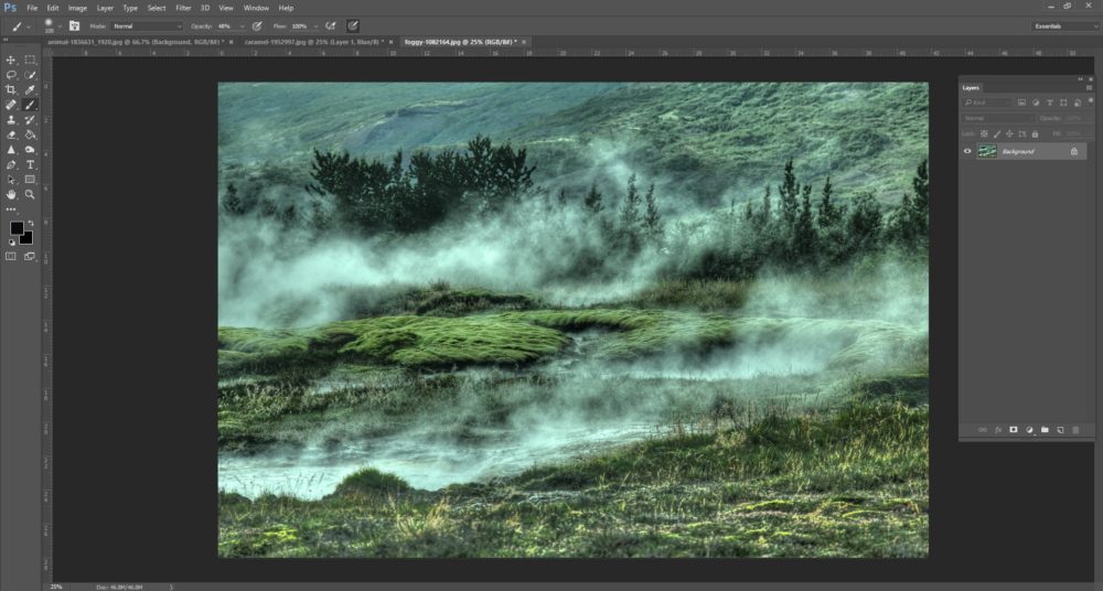 Correcting Color Using Auto Options in Photoshop - Part 1