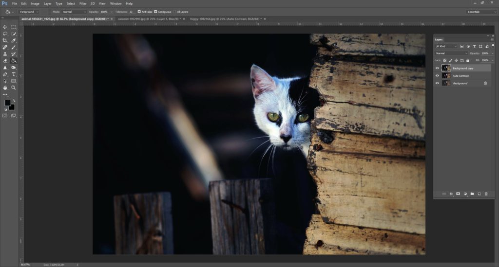Correcting Color Using Auto Options in Photoshop - Part 1