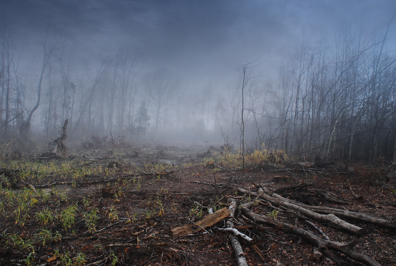 step-004 » Shift Art