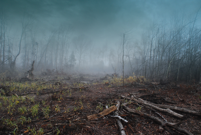 step-005a » Shift Art