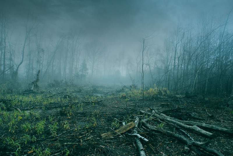 step-006a » Shift Art