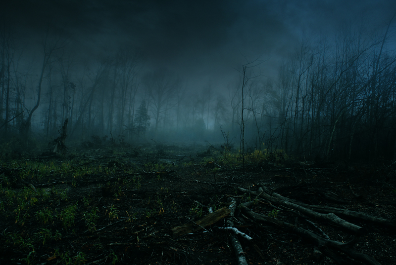 step-007a » Shift Art