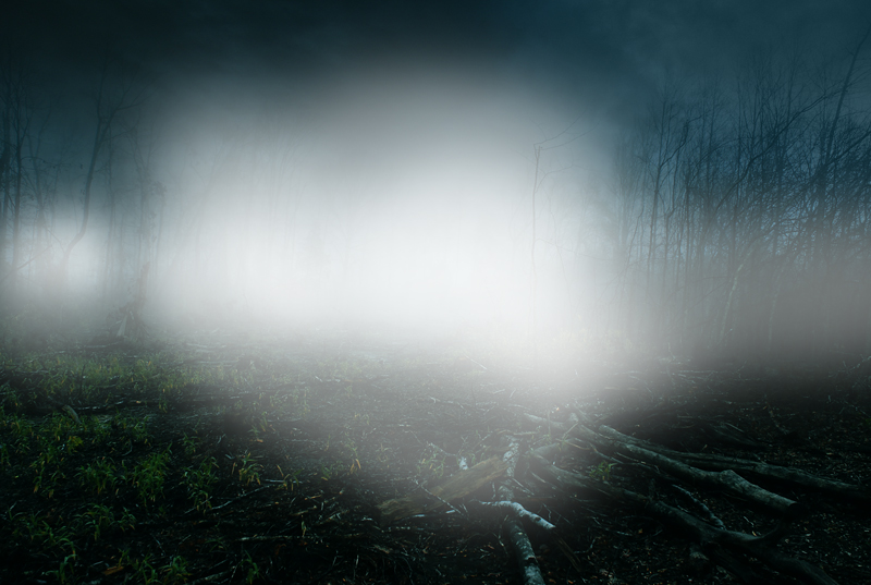 step-009 » Shift Art