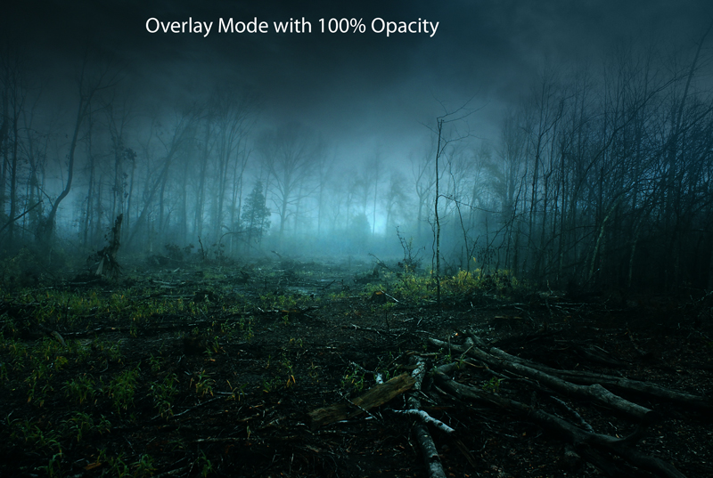 step-009a » Shift Art