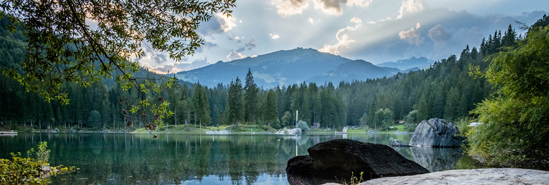 step-002a » Shift Art