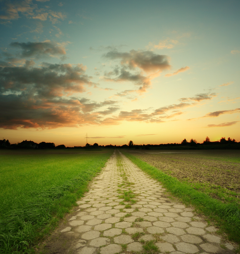 step-003a » Shift Art