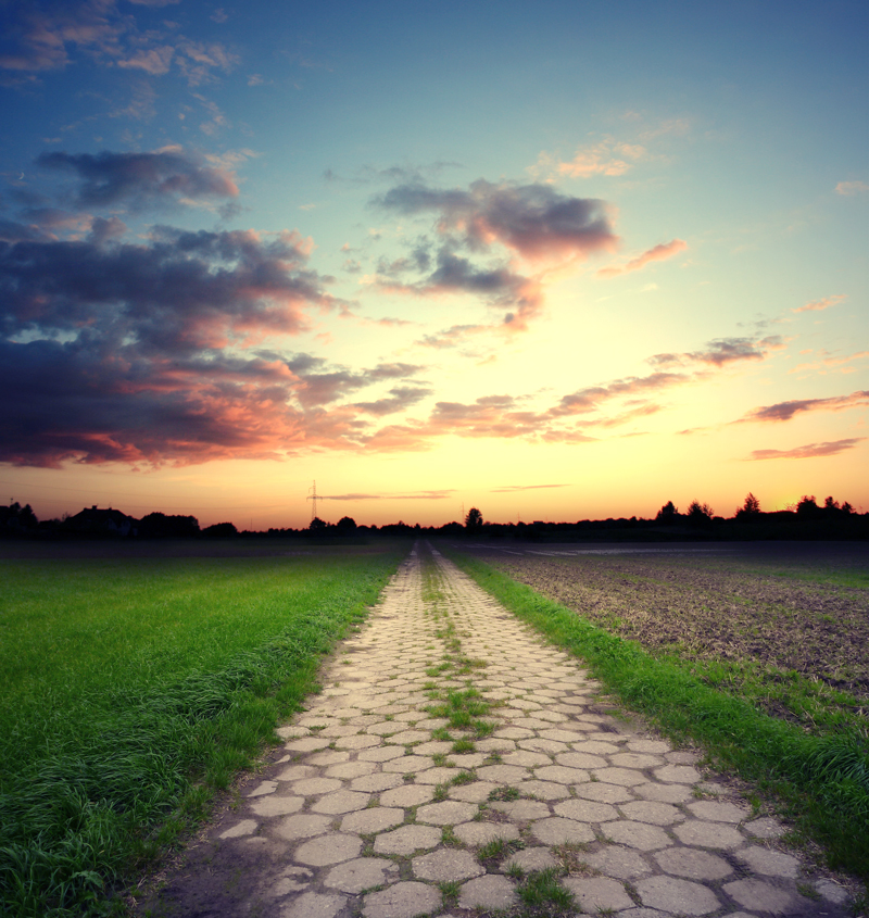 step-004a » Shift Art