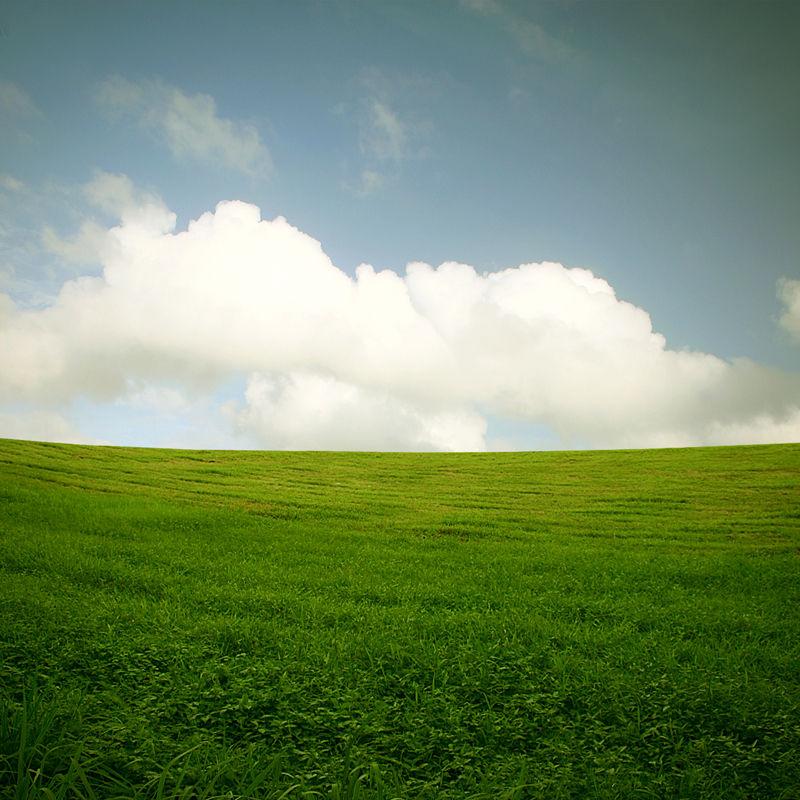 step-002 » Shift Art