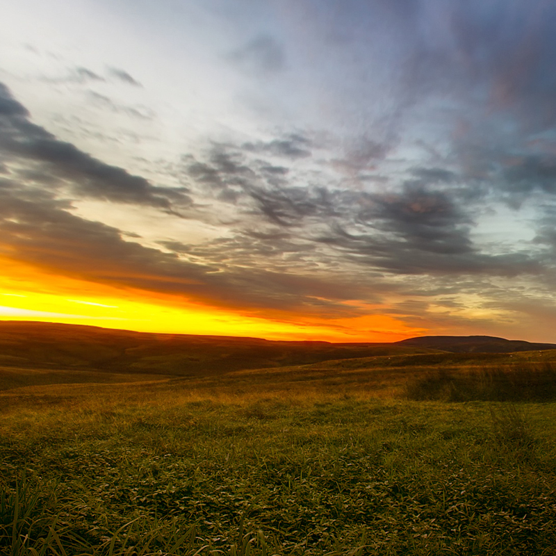 step-004a » Shift Art