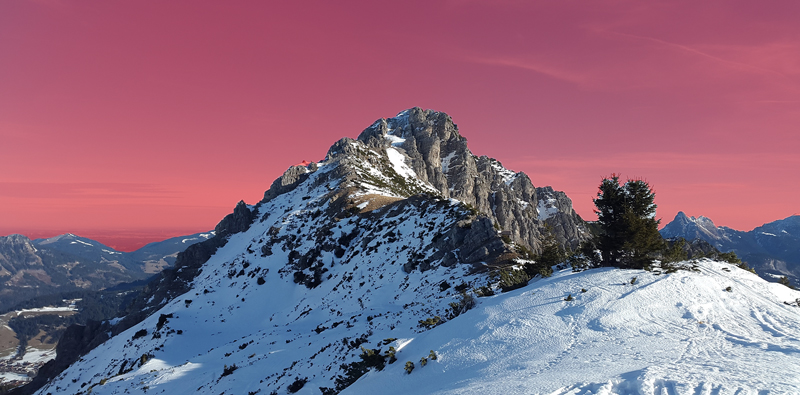 step-002a » Shift Art