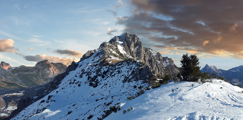 step-005a » Shift Art