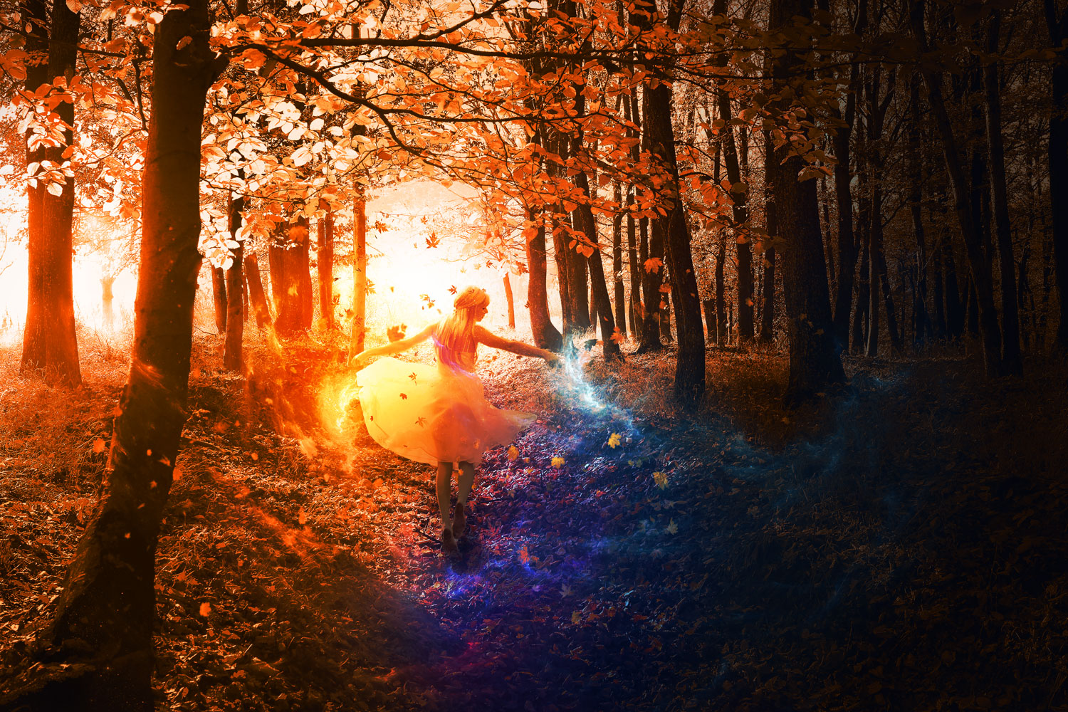 forest » Shift Art
