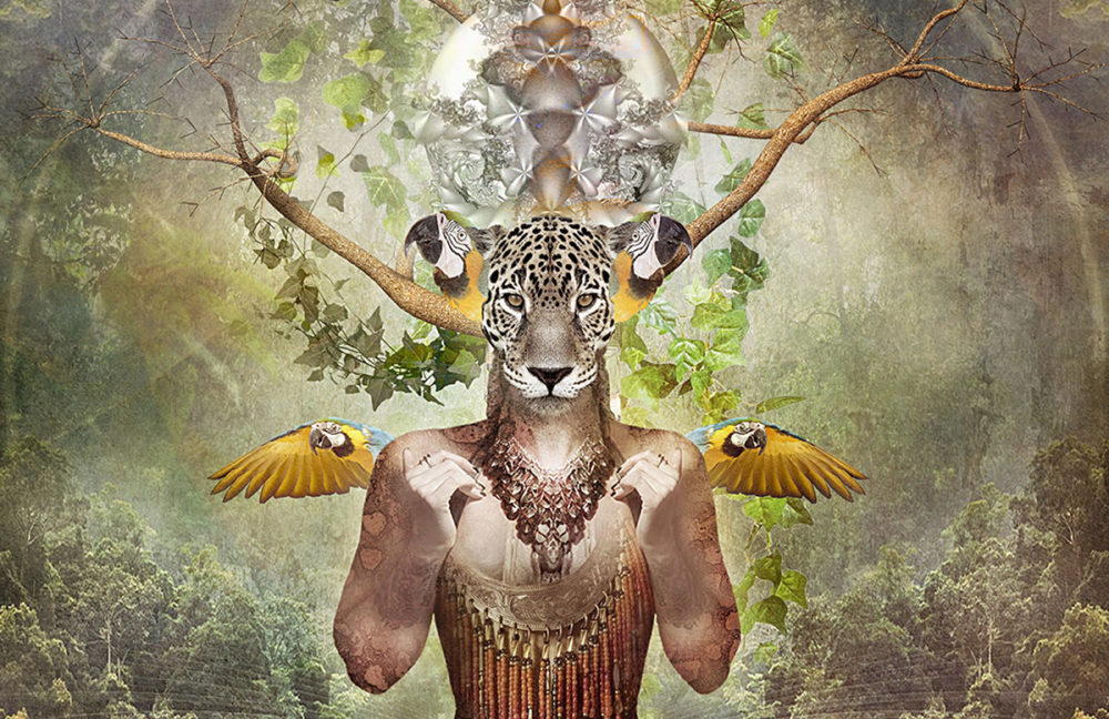 featured image july 2018 challenge jungle anna » Shift Art