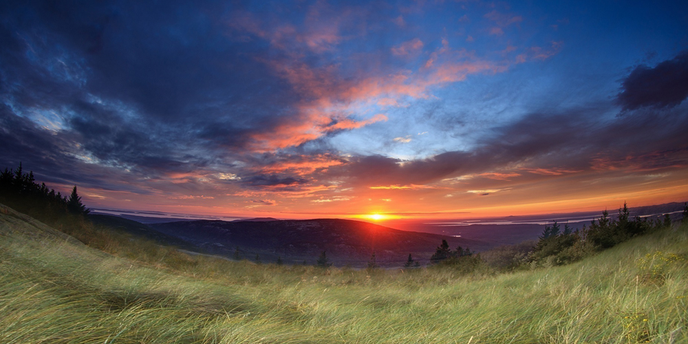 step-005a » Shift Art