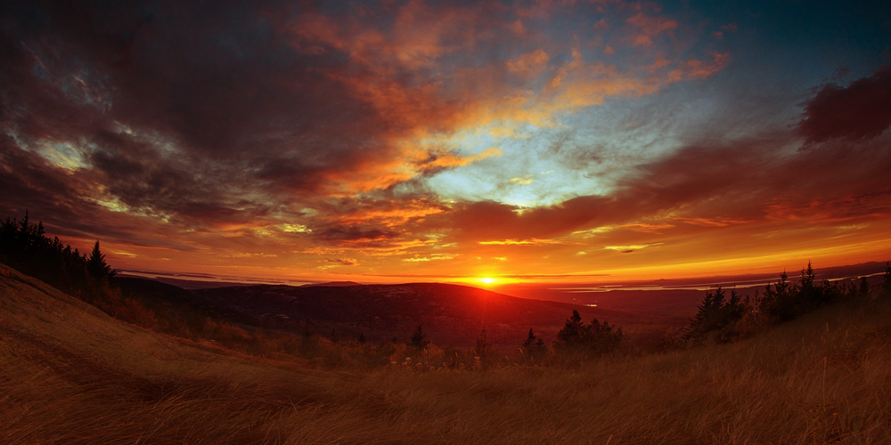 step-008a » Shift Art