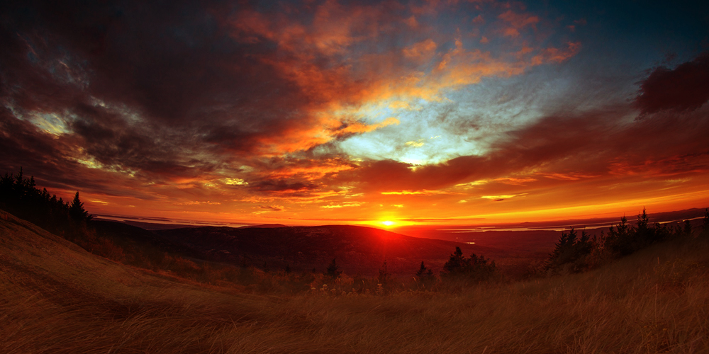 step-009a » Shift Art