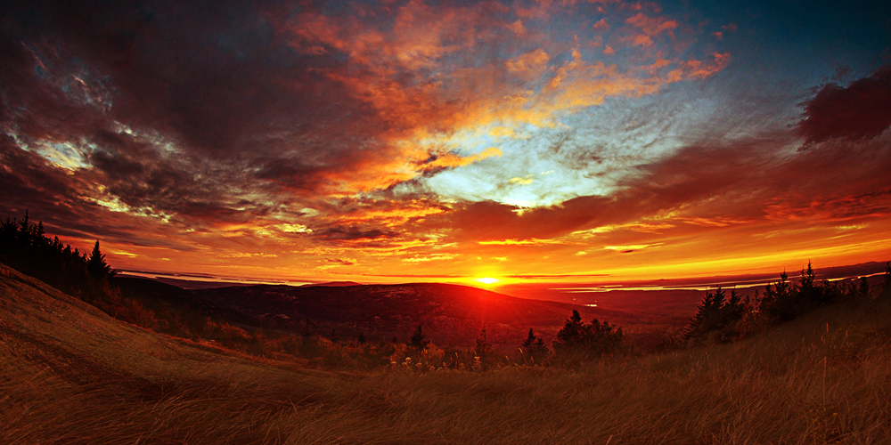 step-011a » Shift Art